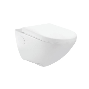 Continental Basin | Wall Hung Toilet, Bathroom Toilets